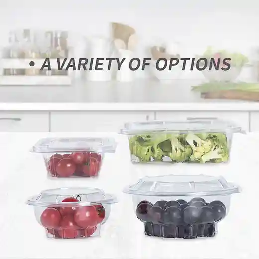 yangrui Transparent Food Container - eco friendly take out boxes and ...